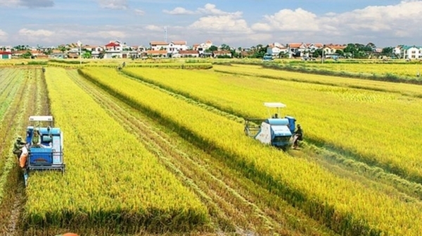 Ускорение реализации проектов по адаптации к изменению климата в дельте ...
