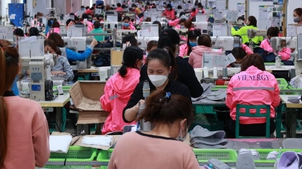 Международные эксперты и организации верят в потенциал устойчивого ...